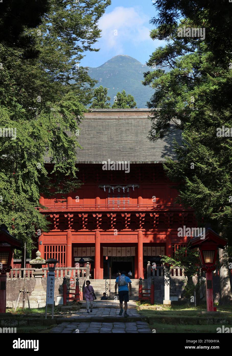 Lots of red Torii, archway to a Shinto shrine, wind along its path at ...