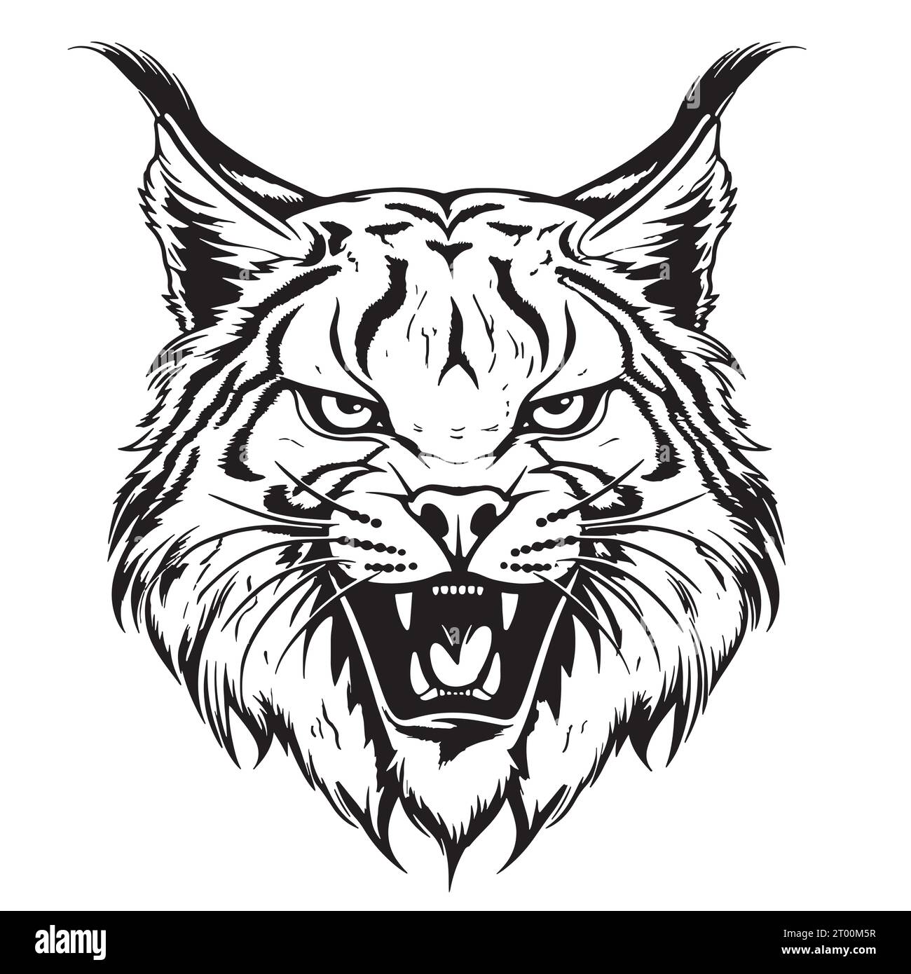 Angry lynx sketch hand drawn sketch Vector Stock Vector Image & Art - Alamy
