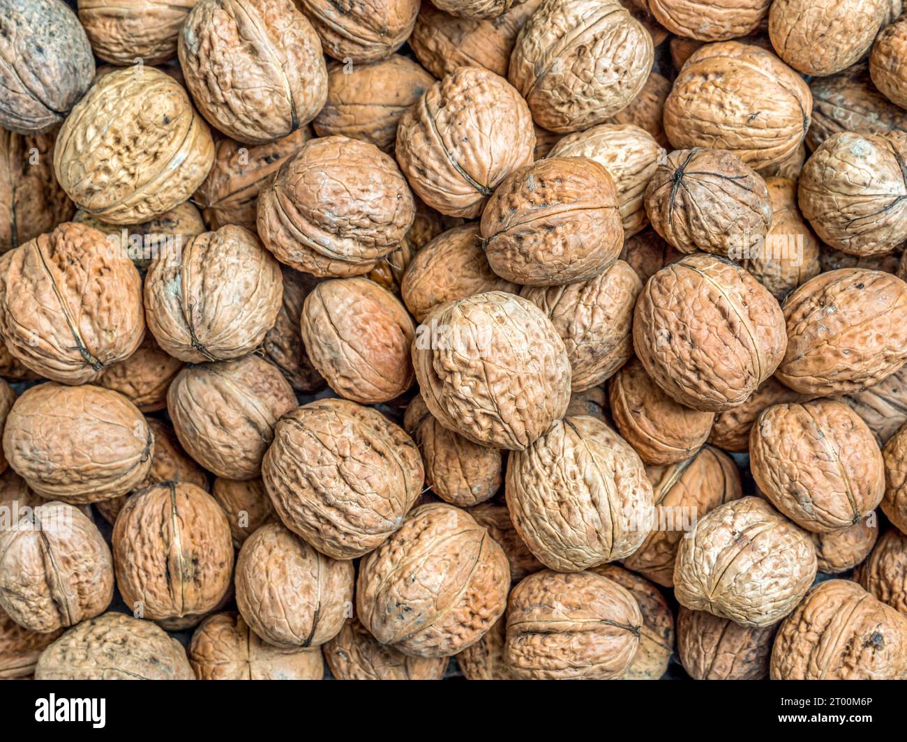 Walnuts in shell hi-res stock photography and images - Alamy