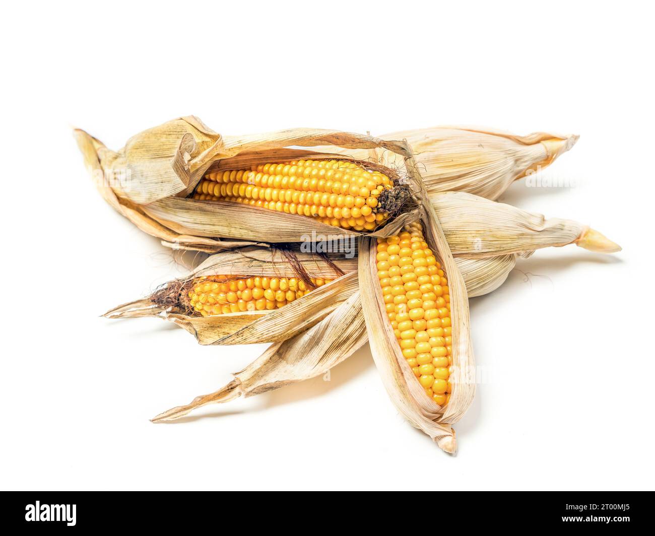 Group of unhusked sweet corn cobs shot on white background Stock Photo ...