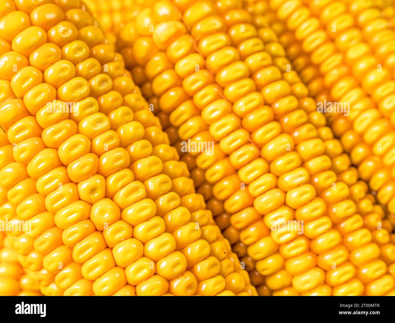 Husked corn hi-res stock photography and images - Alamy