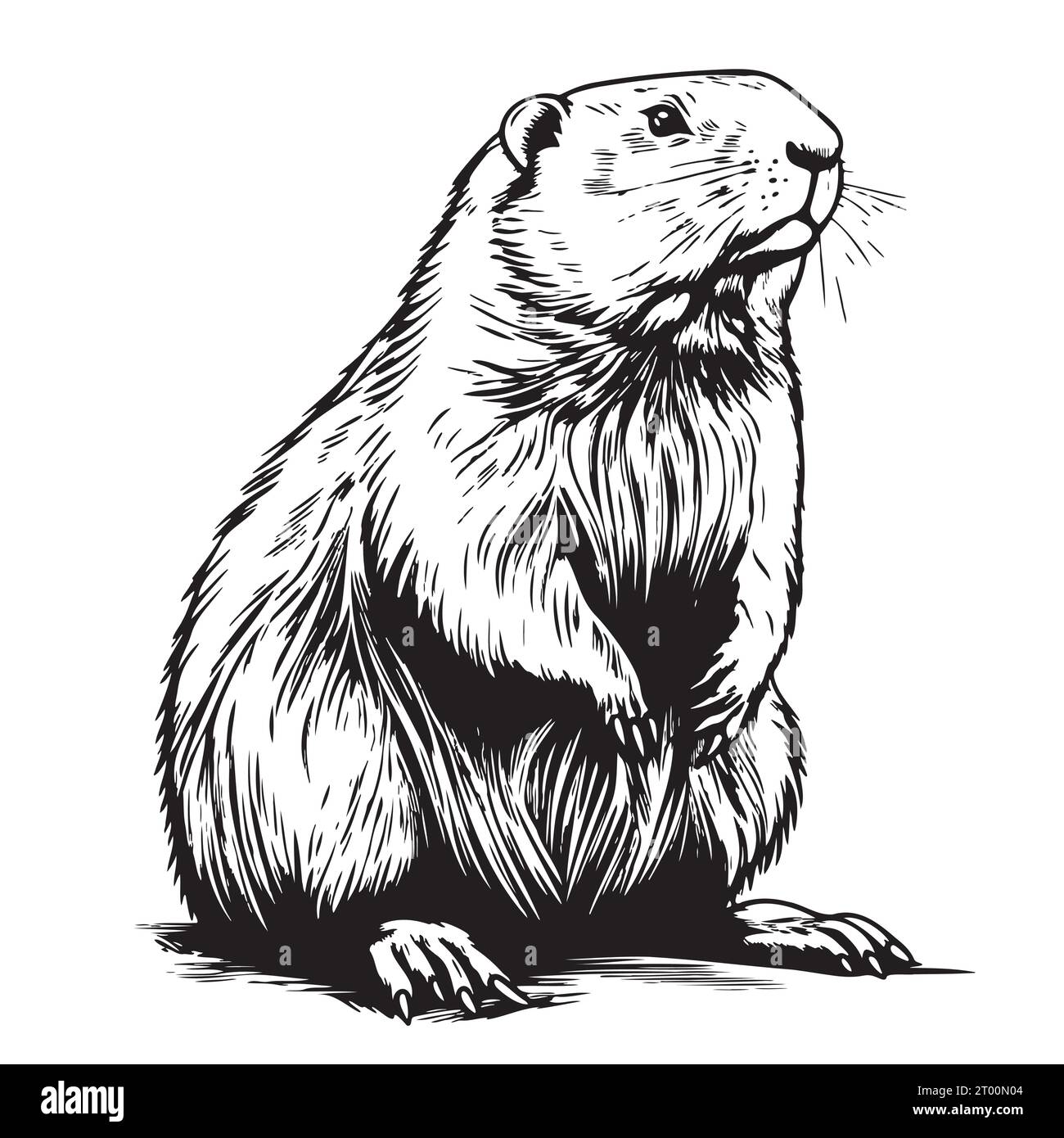 Cute Beaver sketch hand drawn Vector illustration Wild animals Stock ...