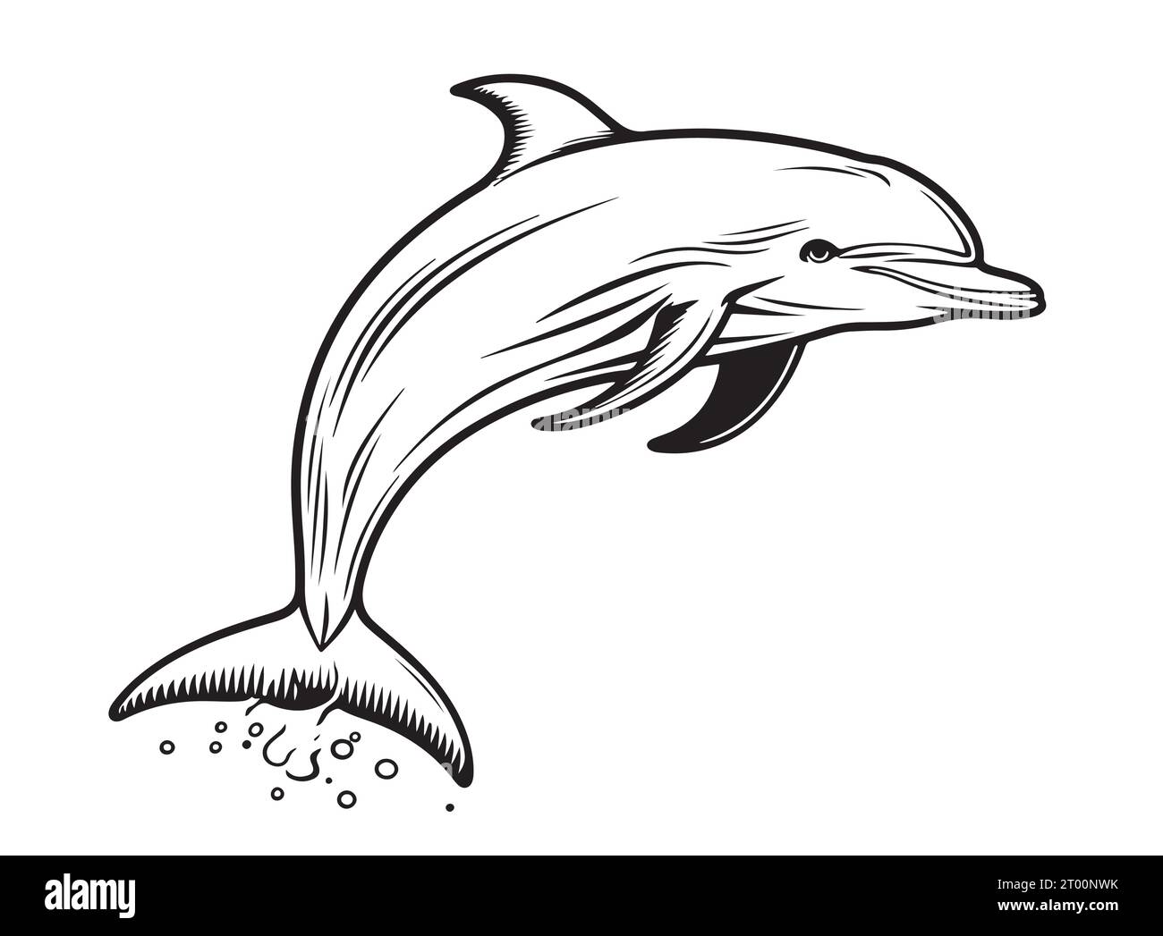 Dolphin sketch hand drawn Vector Sea animals Stock Vector Image & Art ...