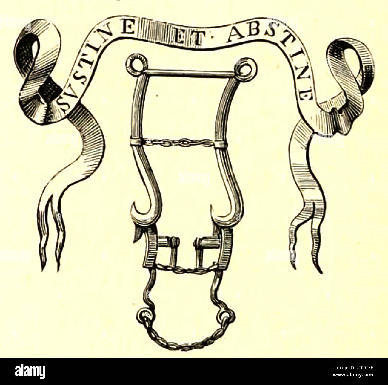 A 19th century engraving showing An old engraving showing an oxen ...