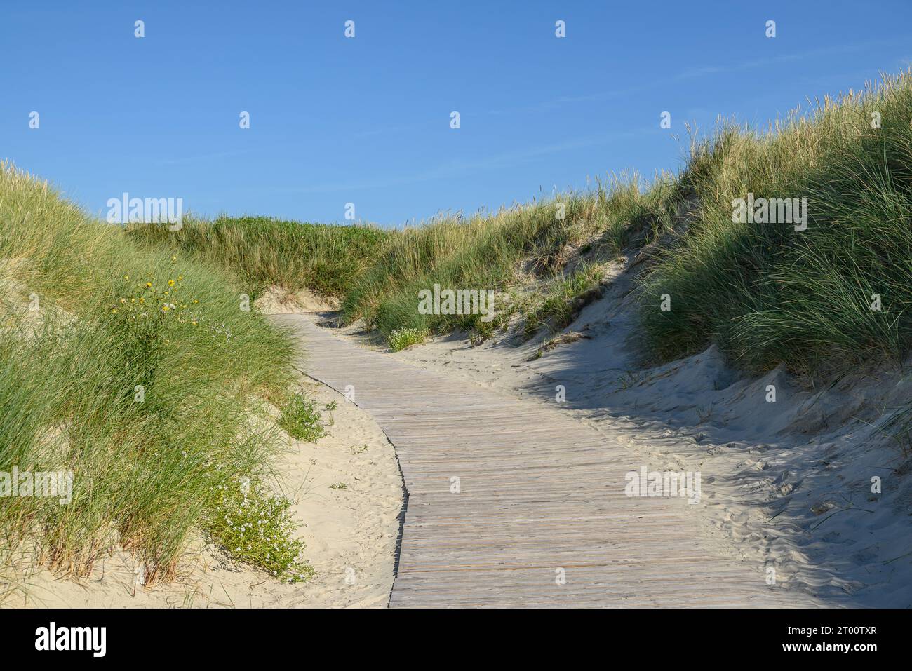 the island of langeoog Stock Photo - Alamy