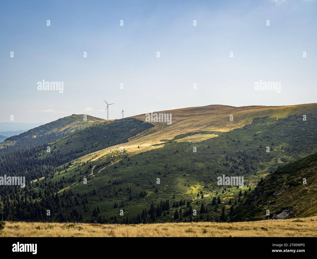 Wind turbines on a golden hill during summer, green renewable energy ...