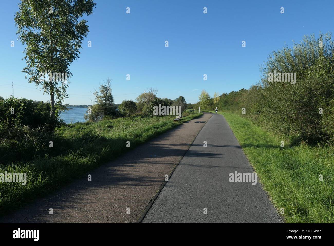 Monheim Rhein/ river rhine in summer Stock Photo - Alamy