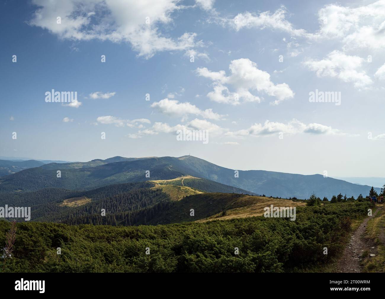 View of Mount Bihor (Varful Bihor, Curcubata Mare) in the Bihor ...