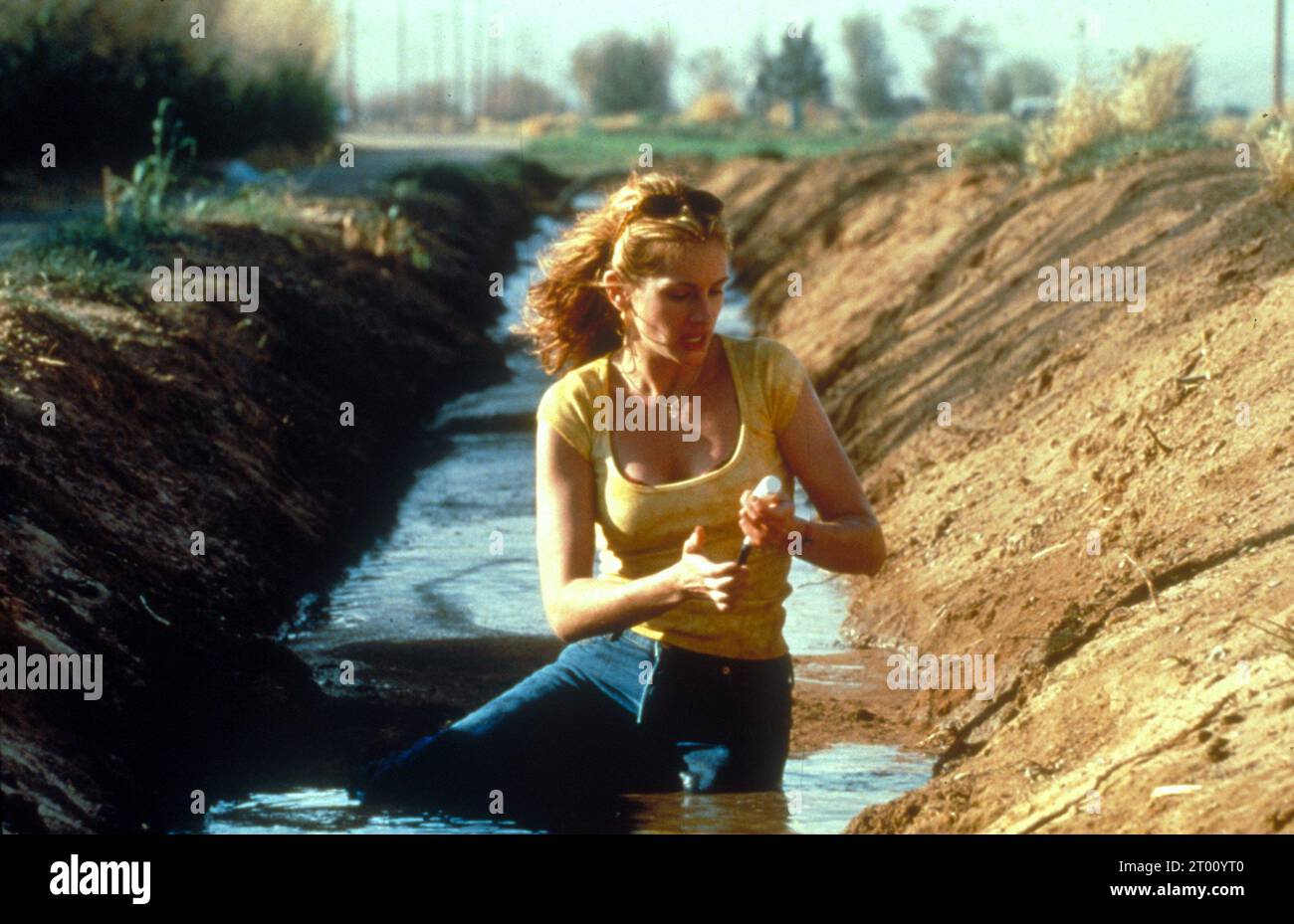 Erin Brockovich Year : 2000 USA Director : Steven Soderbergh Julia ...