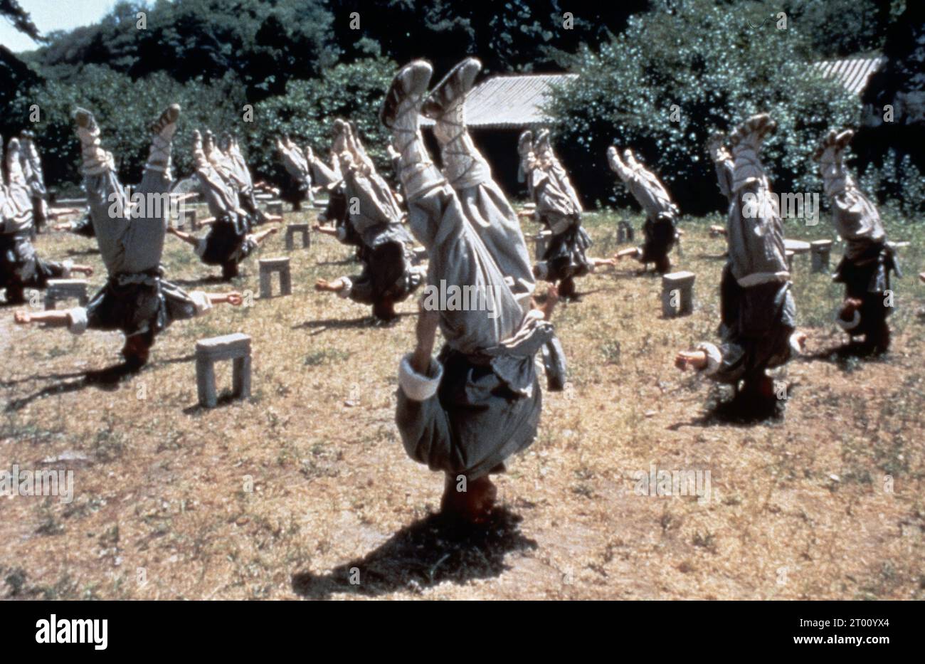 Tai ji zhang san feng The Tai-Chi Master Year : 1993 Hong Kong Director ...