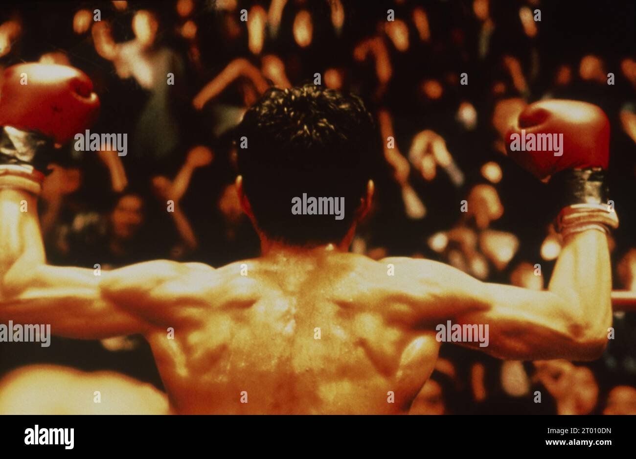 Tokyo Fist Tokyo ken Year : 1995 Japan Director : Shinya Tsukamoto ...