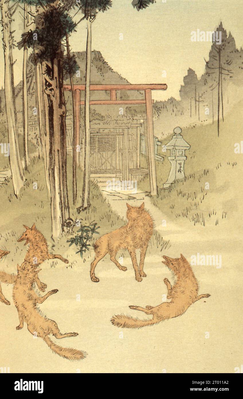 The Fox with its tail cut off Book 'Choix de fables de La Fontaine ...