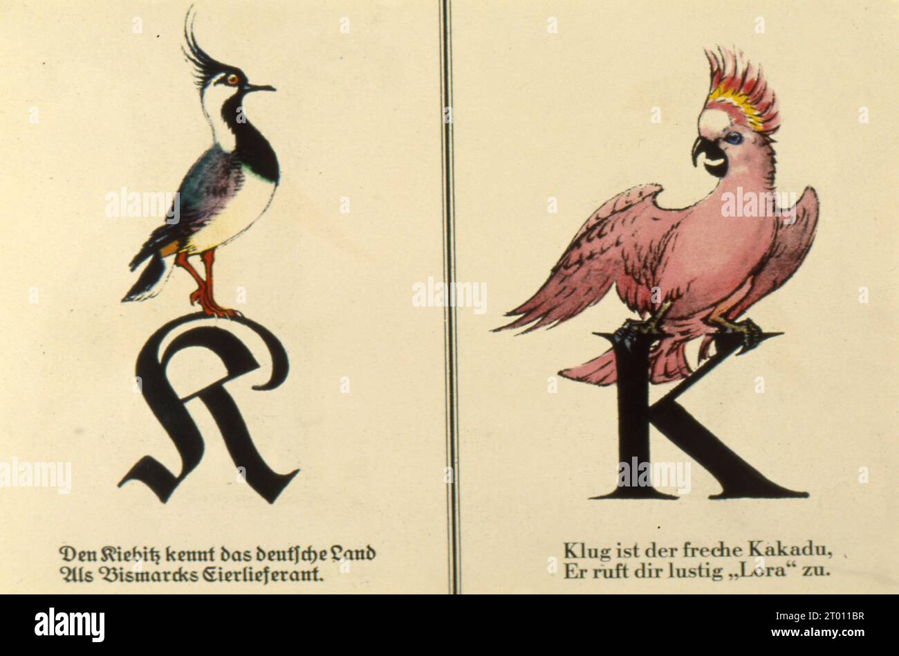 German bird alphabet book "Vogel ABC", written by Friedrich Wilhelm ...