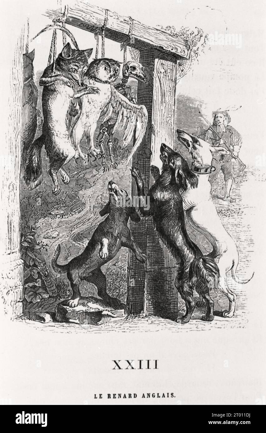 Le Renard anglais (The English Fox) The Fables of La Fontaine ...