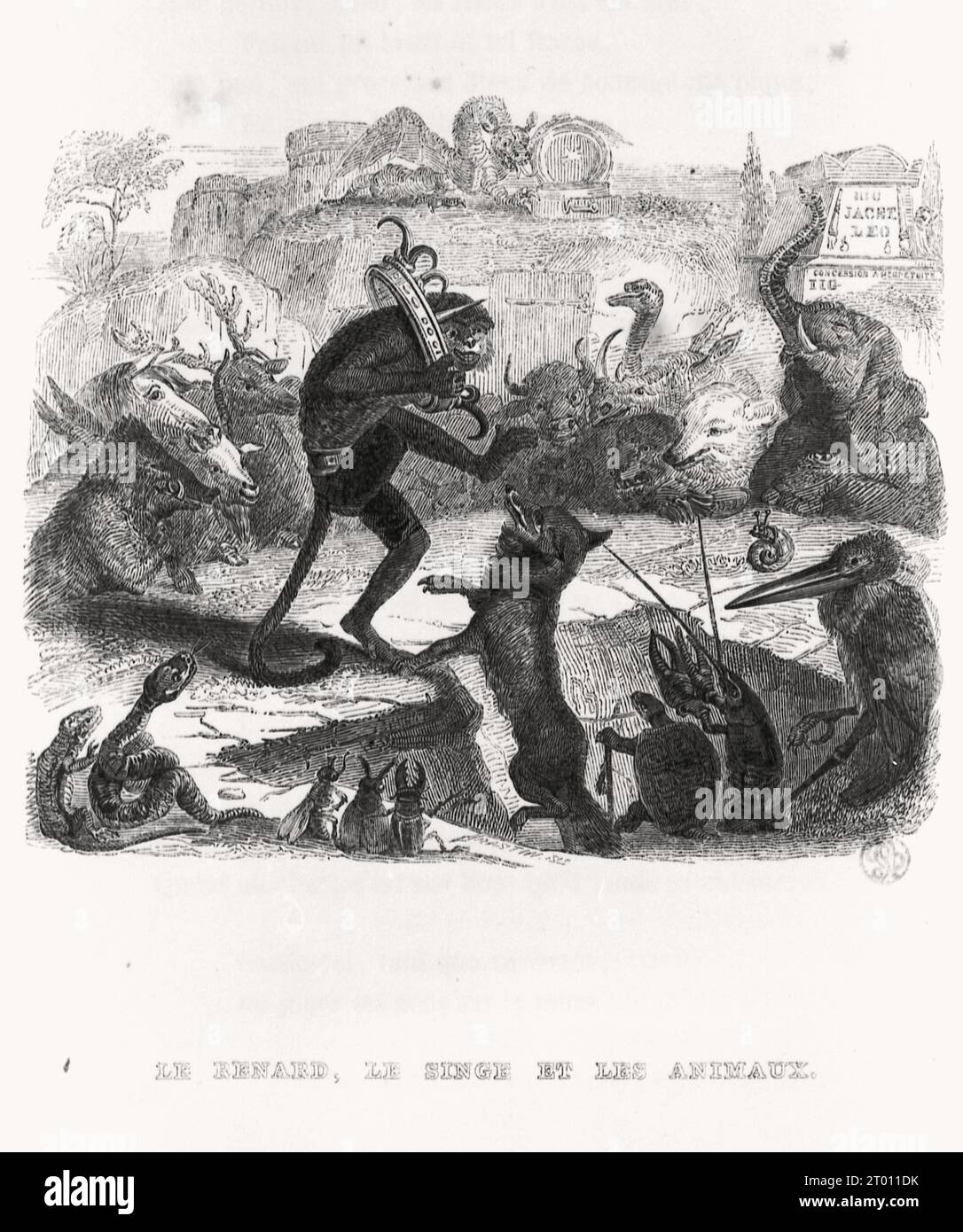 Le Renard, le Singe et les animaux (The Fox, Monkey, and other Animals ...