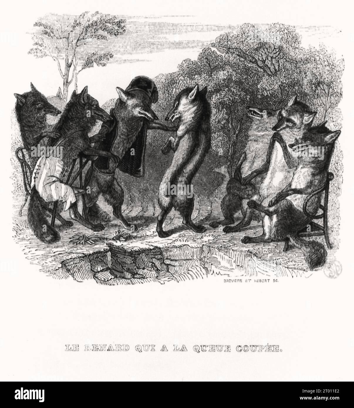 Le Renard qui a la queue coupée (The Fox who had lost his tail) The ...