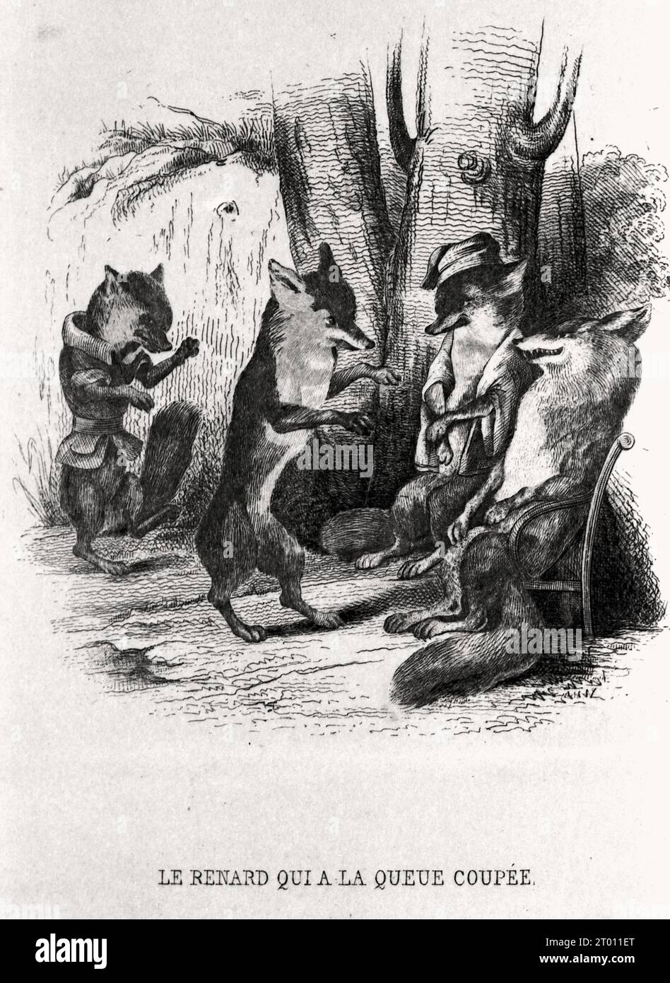 Le Renard qui a la queue coupée (The Fox who had lost his tail) The ...