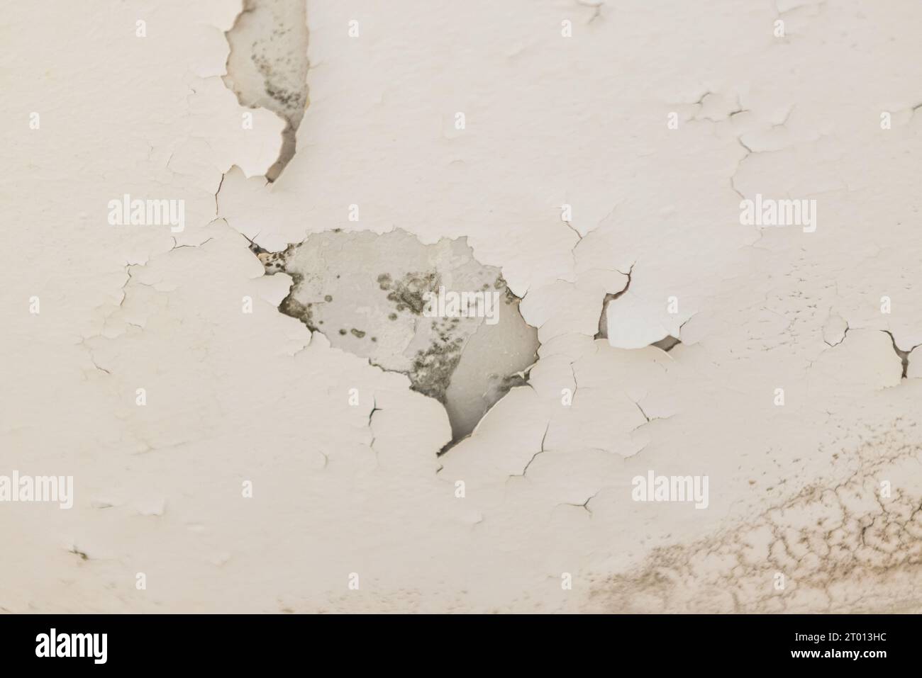 Roof of a house with damp, fungus, mold and peeling. Concept of ...