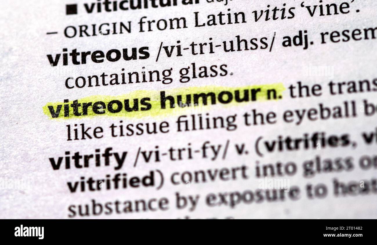 Vitreous humour hi-res stock photography and images - Alamy