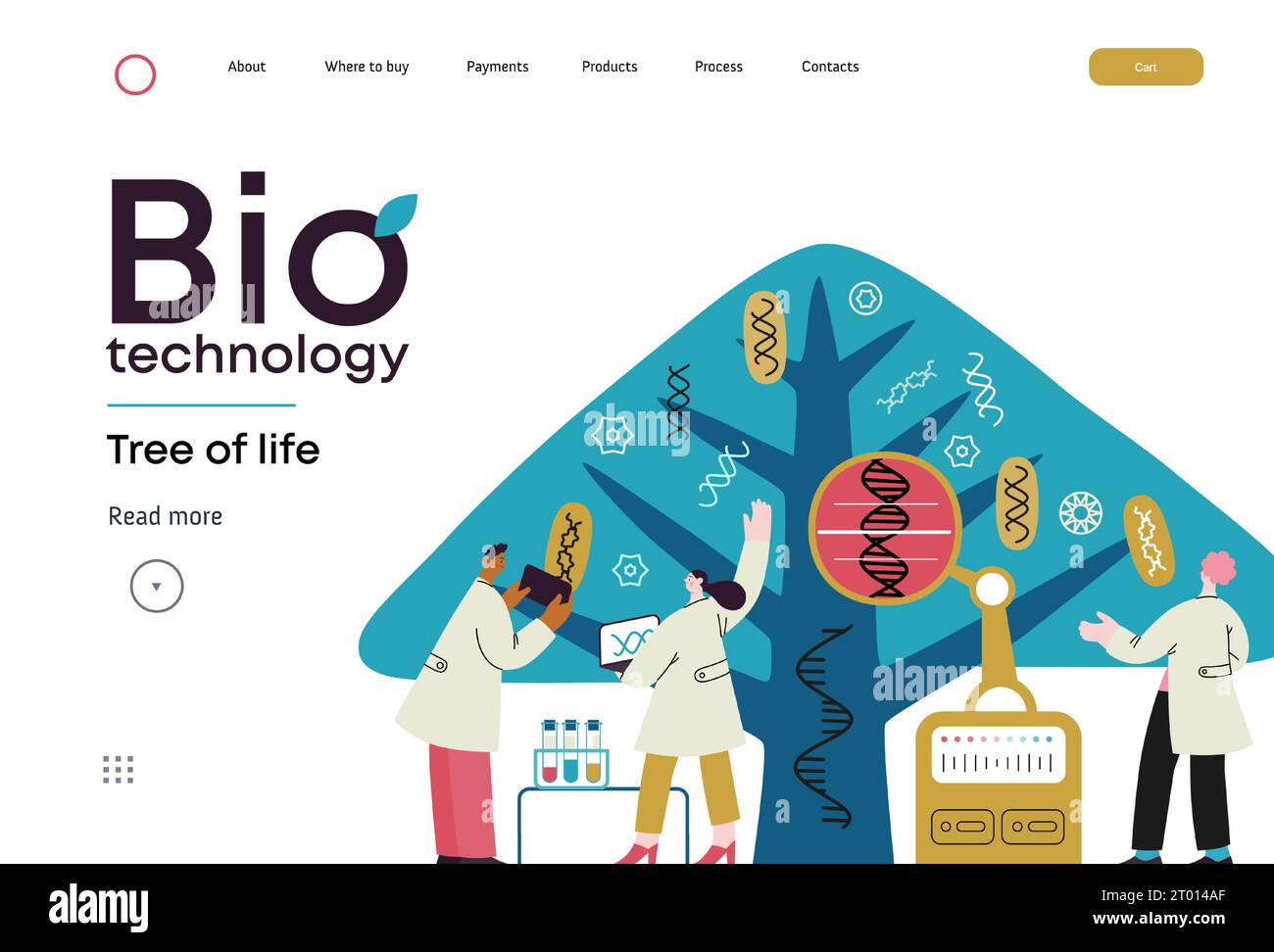 Diversity of life forms Stock Vector Images - Alamy