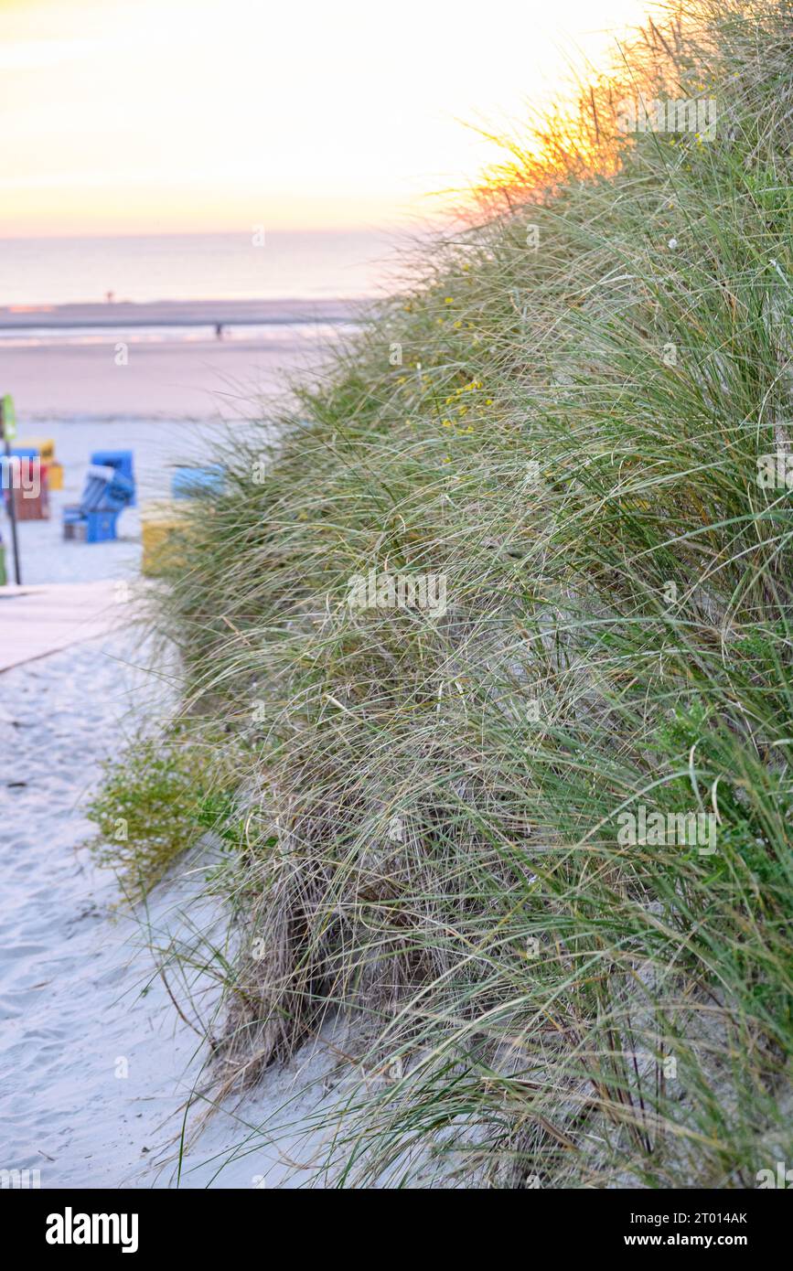 the island of langeoog Stock Photo - Alamy