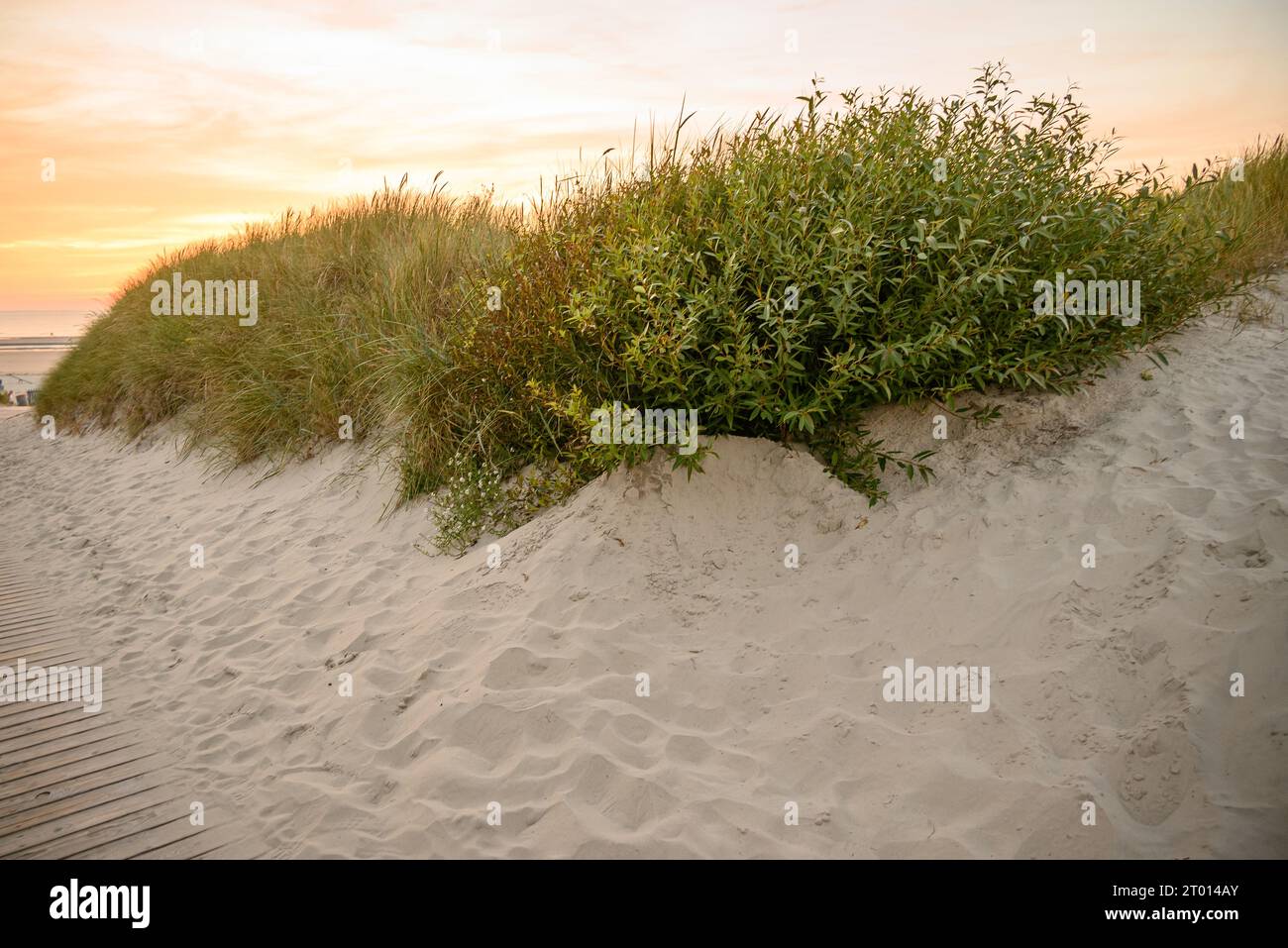 the island of langeoog Stock Photo - Alamy