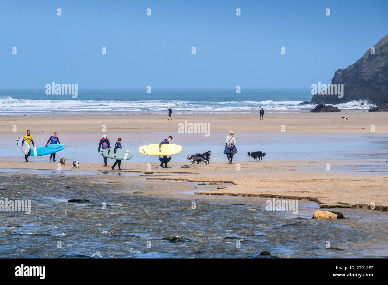 Tree surfers and their surfing instructor returning after a surfing ...