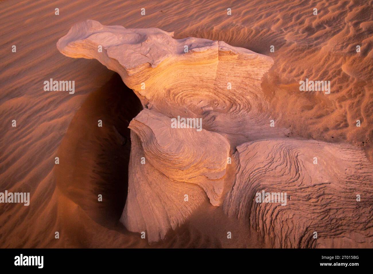 Fossil Rocks in the Desert of the United Arab Emirates Stock Photo - Alamy
