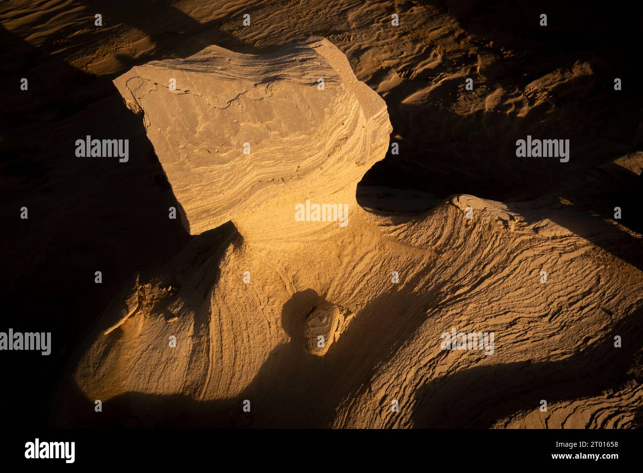 Fossil Rocks in the Desert of the United Arab Emirates Stock Photo - Alamy