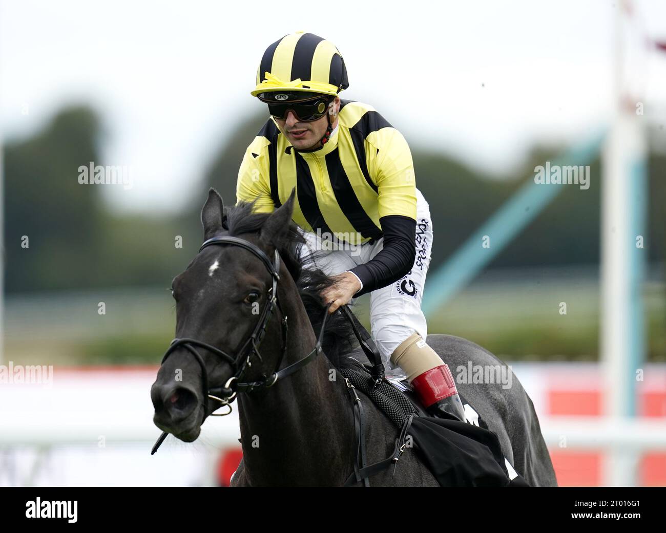 Vandeek ampics hi-res stock photography and images - Alamy