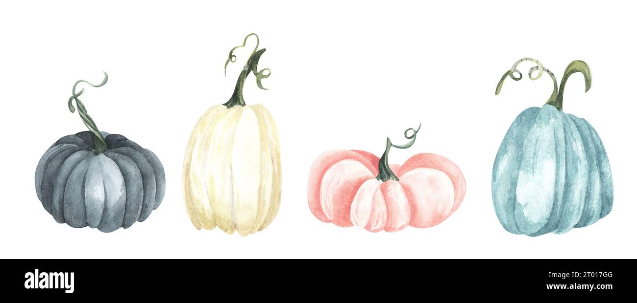 Watercolor pumpkin set, floral pumpkins, Halloween clip art, autumn ...