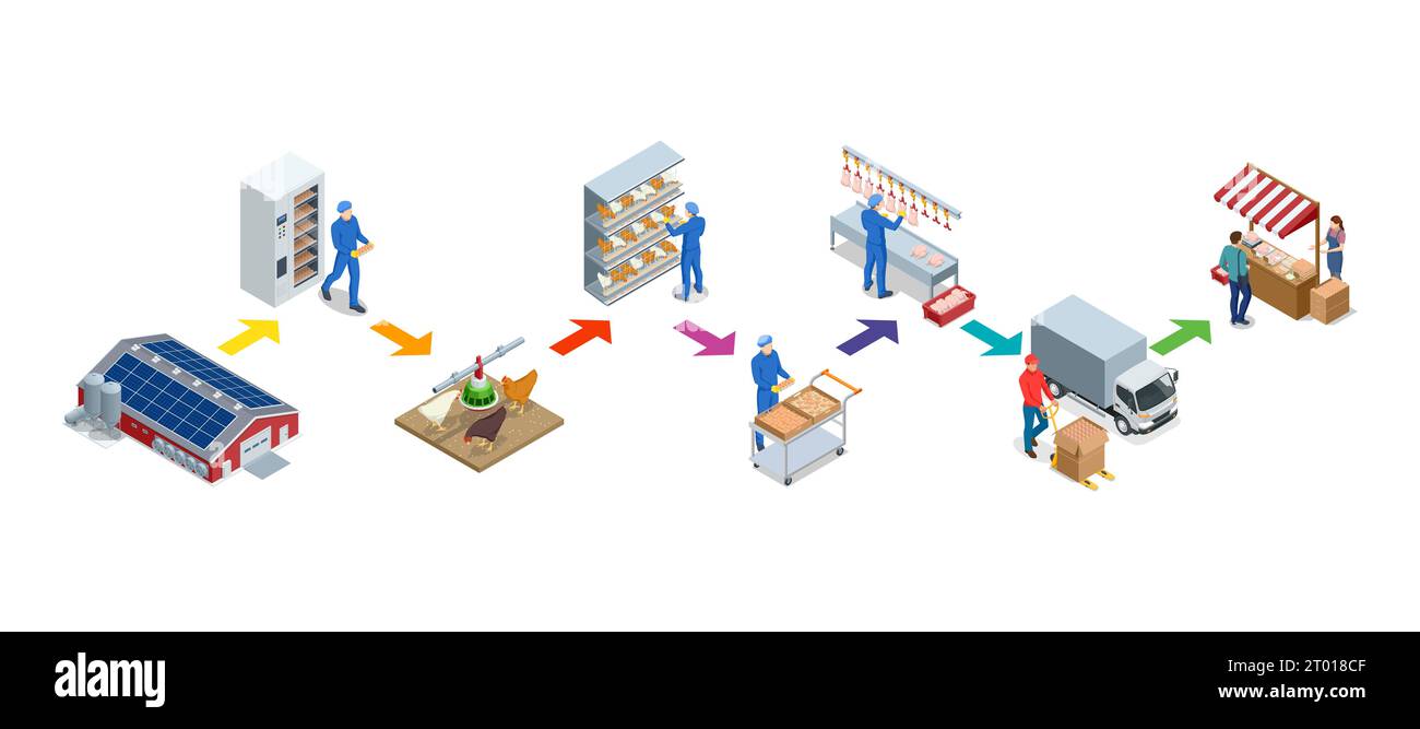 Isometric Poultry Farming. Poultry farm building, production of chicken ...