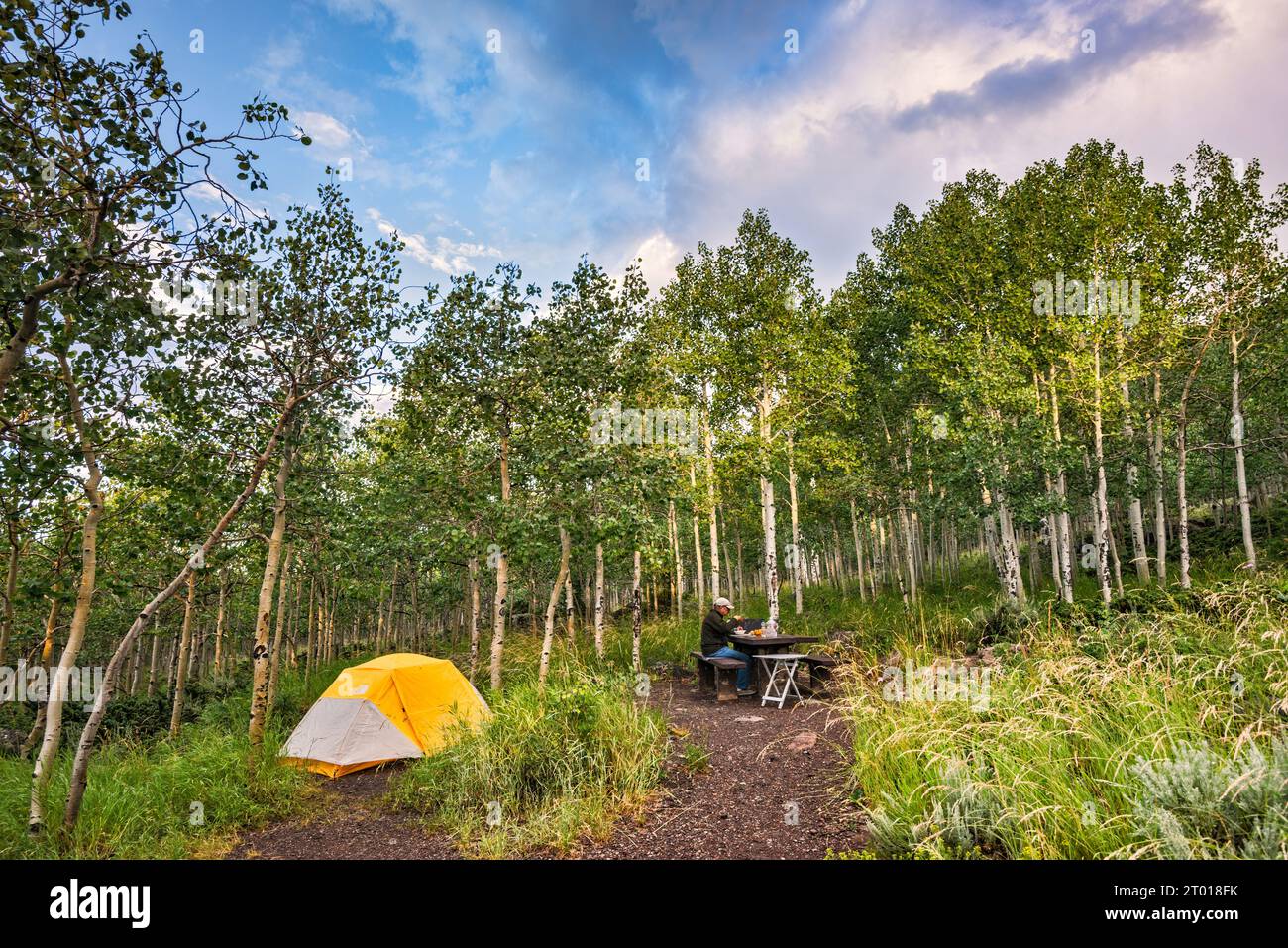 Camper at campsite, aspen grove at Mackinaw Campground, over Fish Lake ...