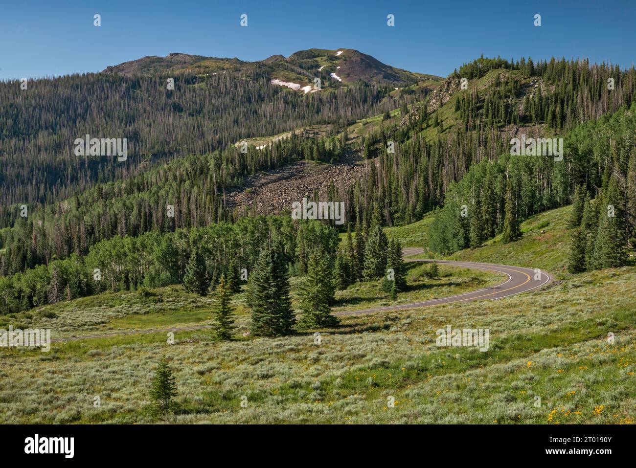 Mount Terrill massif, view from Niotche Lost Creek Divide, Gooseberry ...