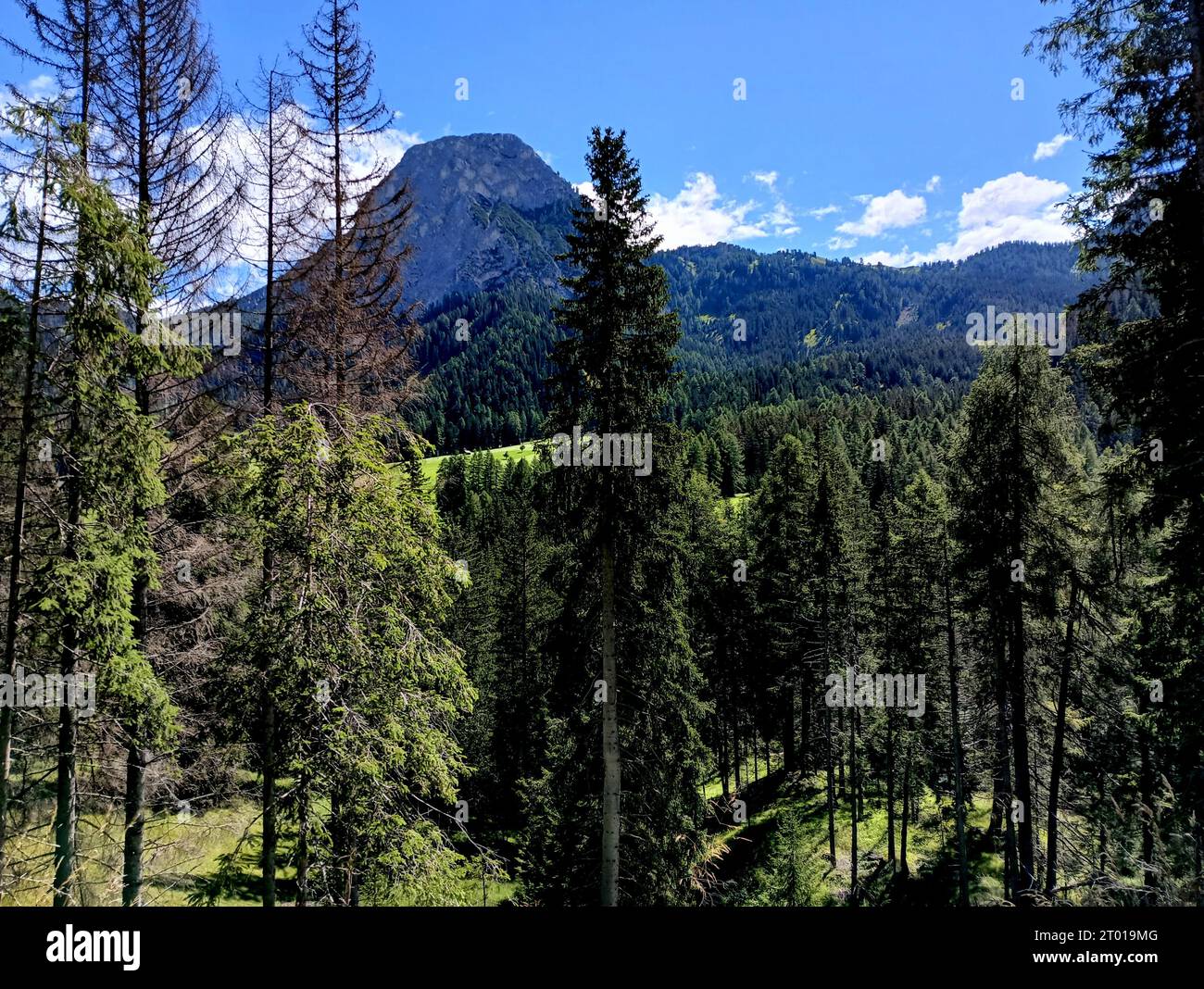 In the old part of the Braies valley, Altprags, vast forests surround ...