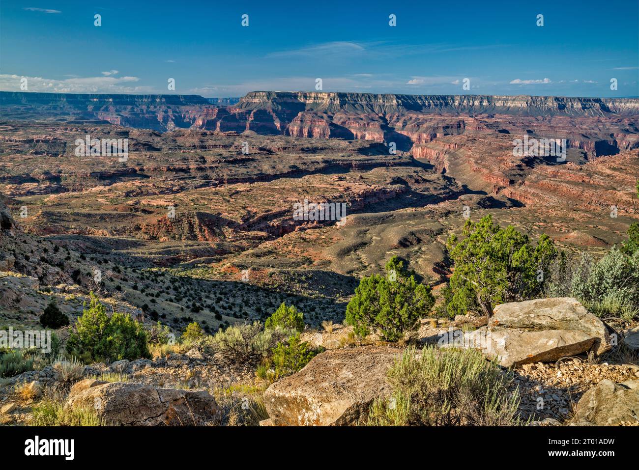 View in early morning from Little Saddle at Thunder River Trail, near Indian Hollow Campground ...