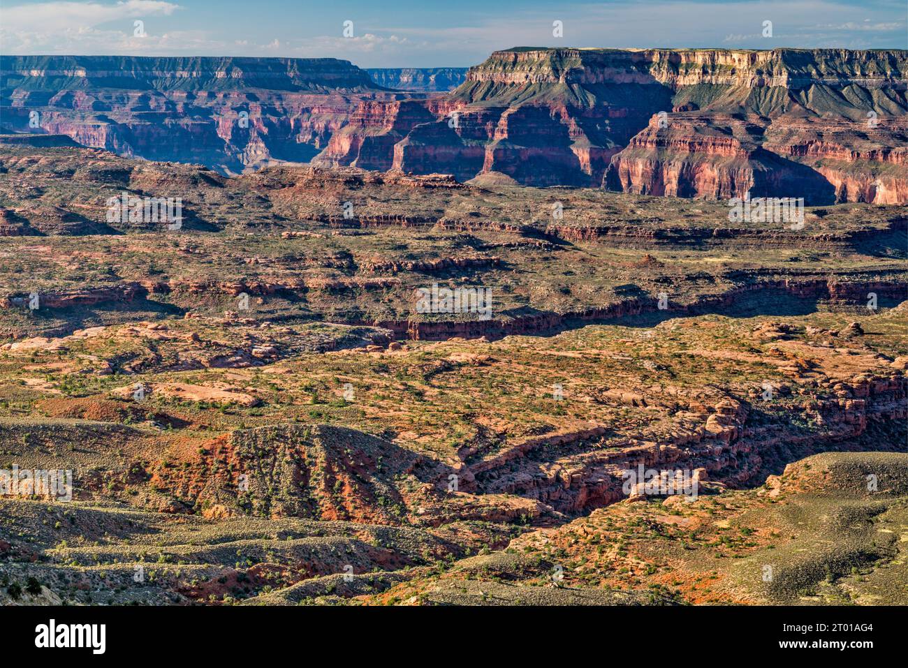 View in early morning from Little Saddle at Thunder River Trail, near Indian Hollow Campground ...