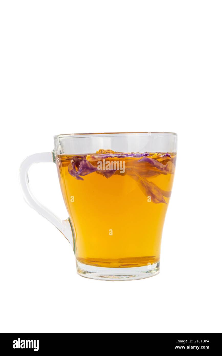 Blue lotos, Nymphaea caerulea hot tea. trendy natural beverage. Anti ...