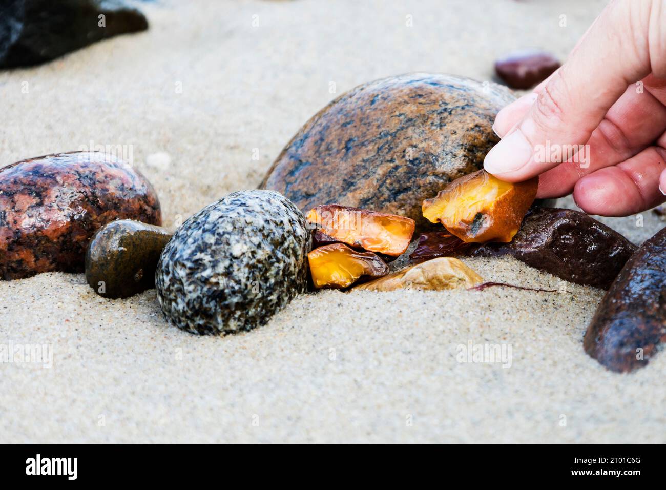 Beautiful pieces of amber in the hand of the sea background. A glowing ...