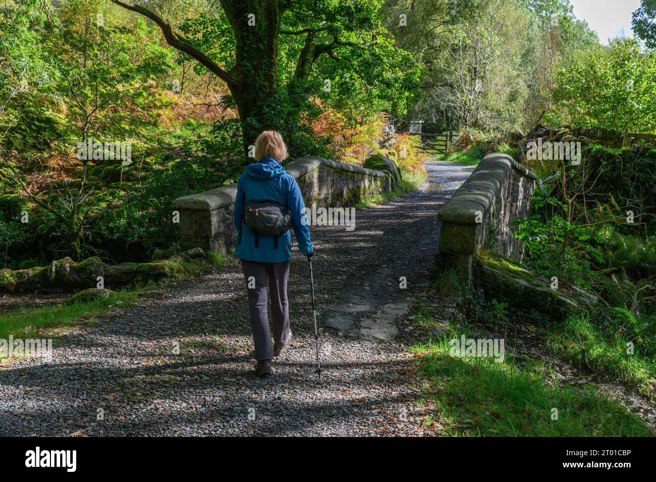 The Buchan Bridge over The Buchan Burn in Glentrool, Galloway Stock ...