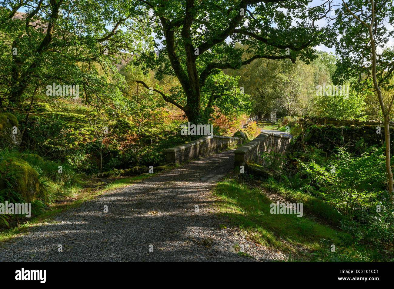 The Buchan Bridge over The Buchan Burn in Glentrool, Galloway Stock ...