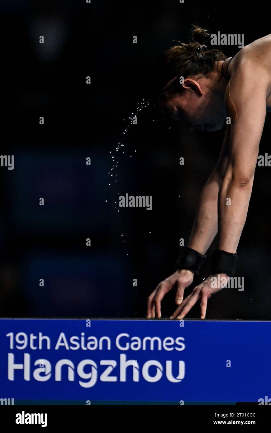 Pandelela rinong pamg hi-res stock photography and images - Alamy