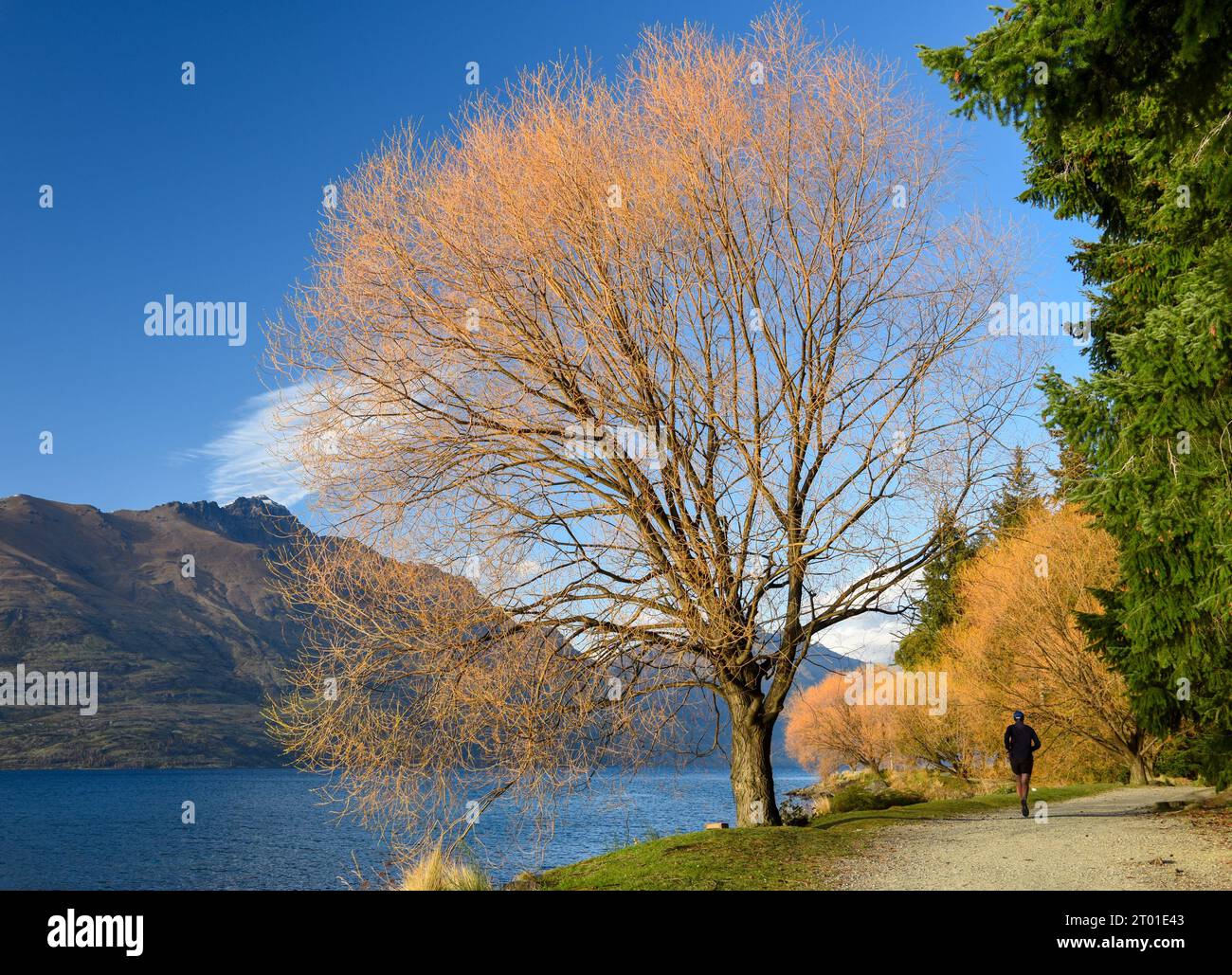 Queenstown, New Zealand. 28th Sep, 2023. A man jogs by a lake in ...