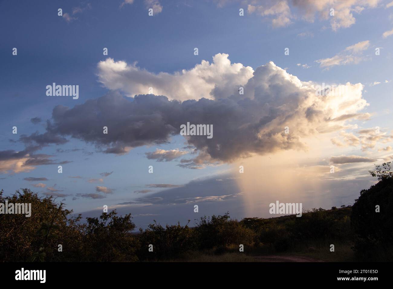 A small cumulus cloud releases a light shower of rain that catches the ...