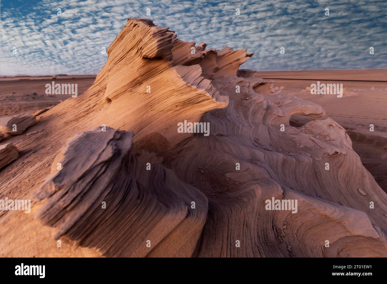 Fossil Rocks in the Desert of the United Arab Emirates Stock Photo - Alamy