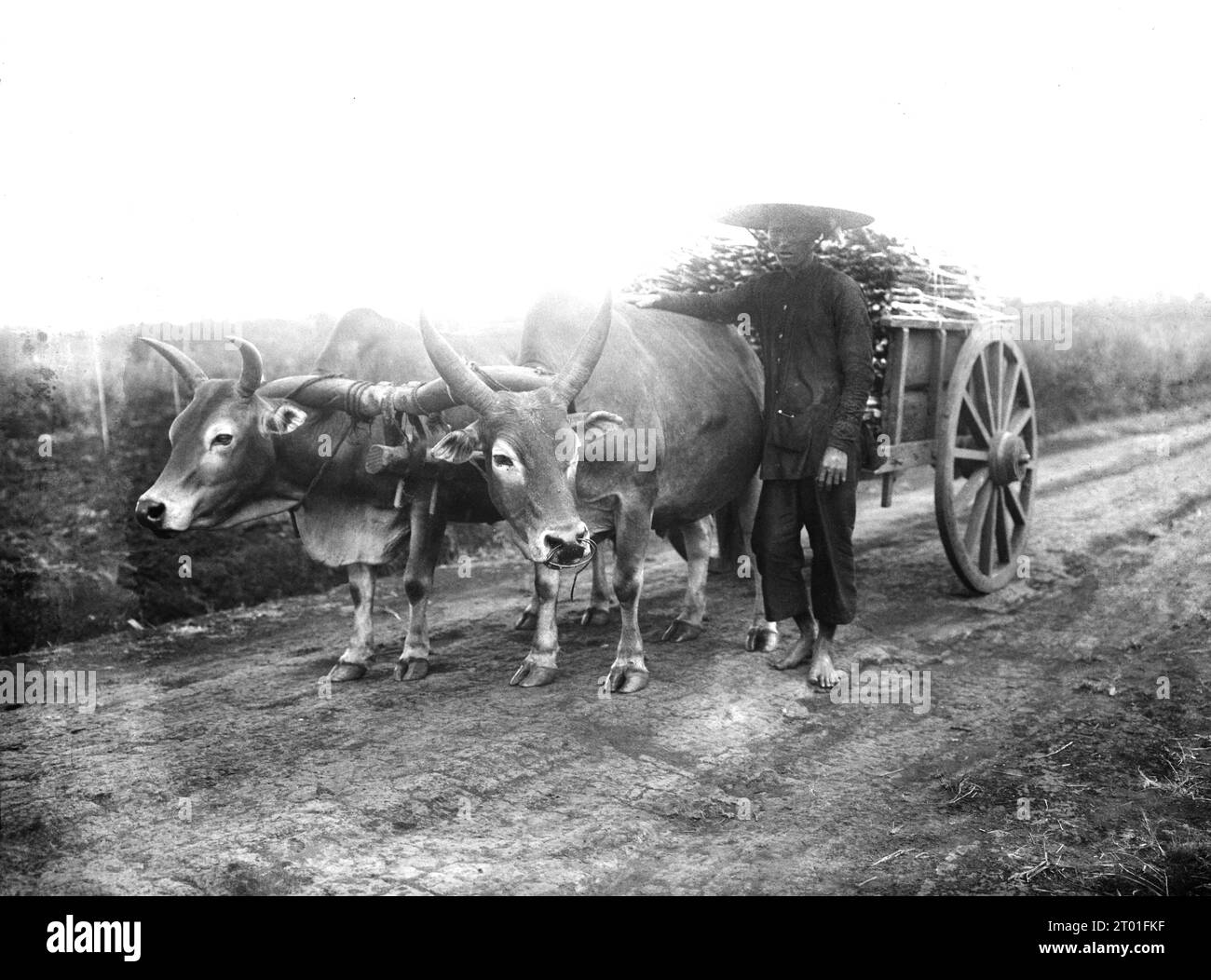 INDOCHINA, colonial era, rural people, around 1925 Stock Photo - Alamy