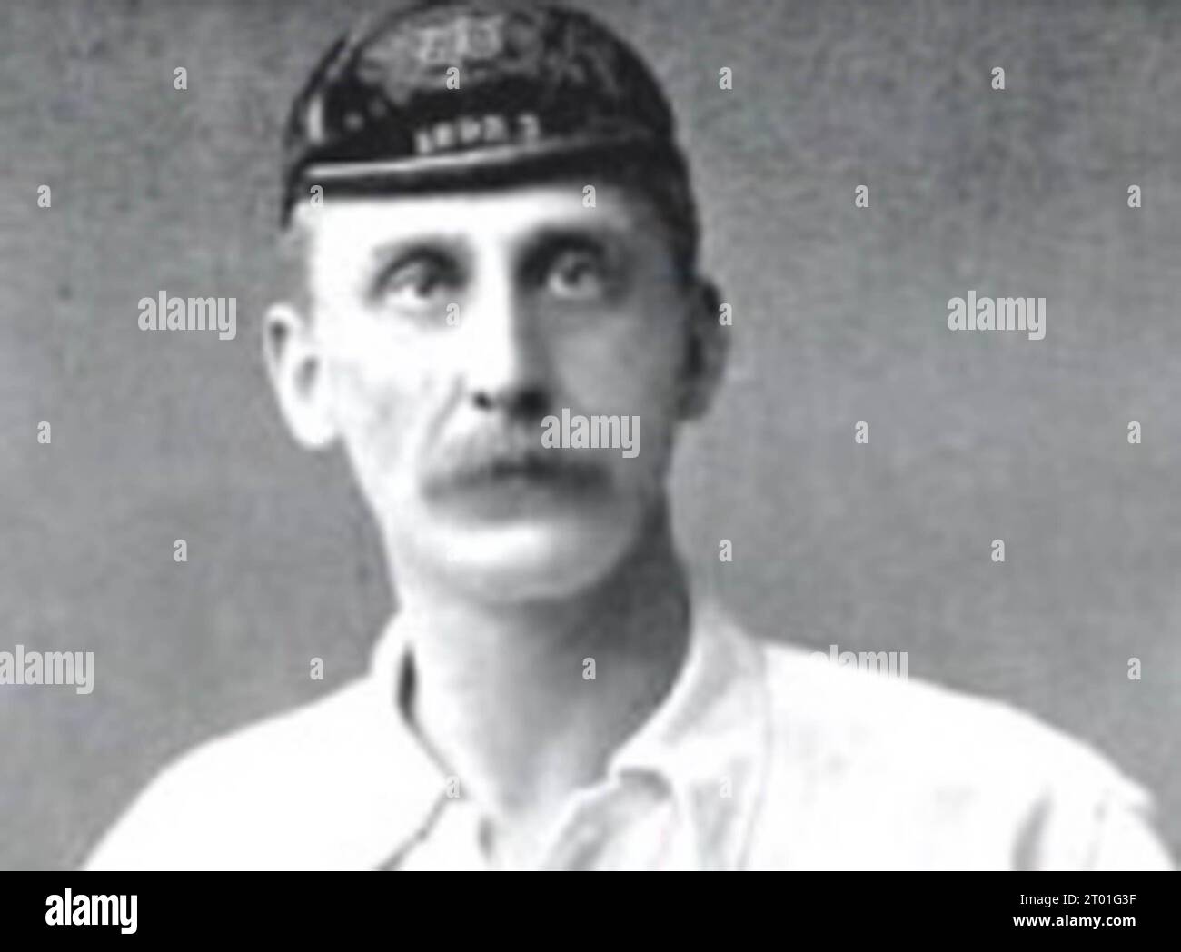 William Crisp Rose Stock Photo - Alamy