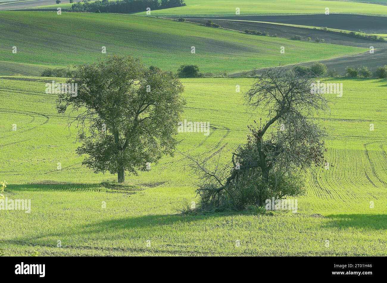 Moravian Tuscany, in Czech known as Moravske Toskansko, is a very ...