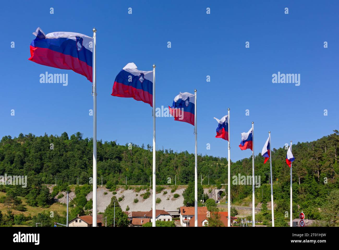 Row of waving National flags of Slovenia against a countryside ...