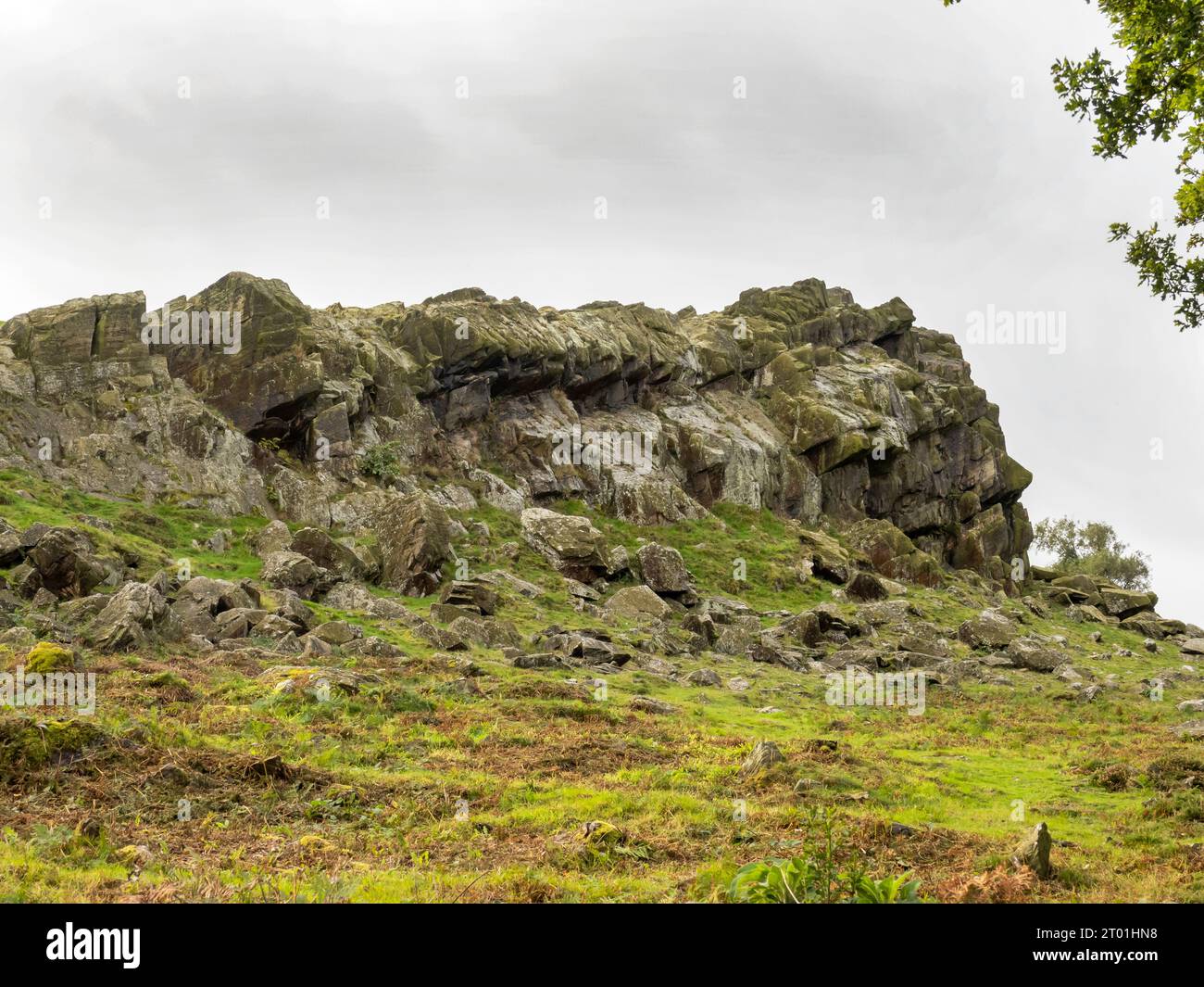 A rock outcrop on the Beacon above Woodhouse near Loughborough ...